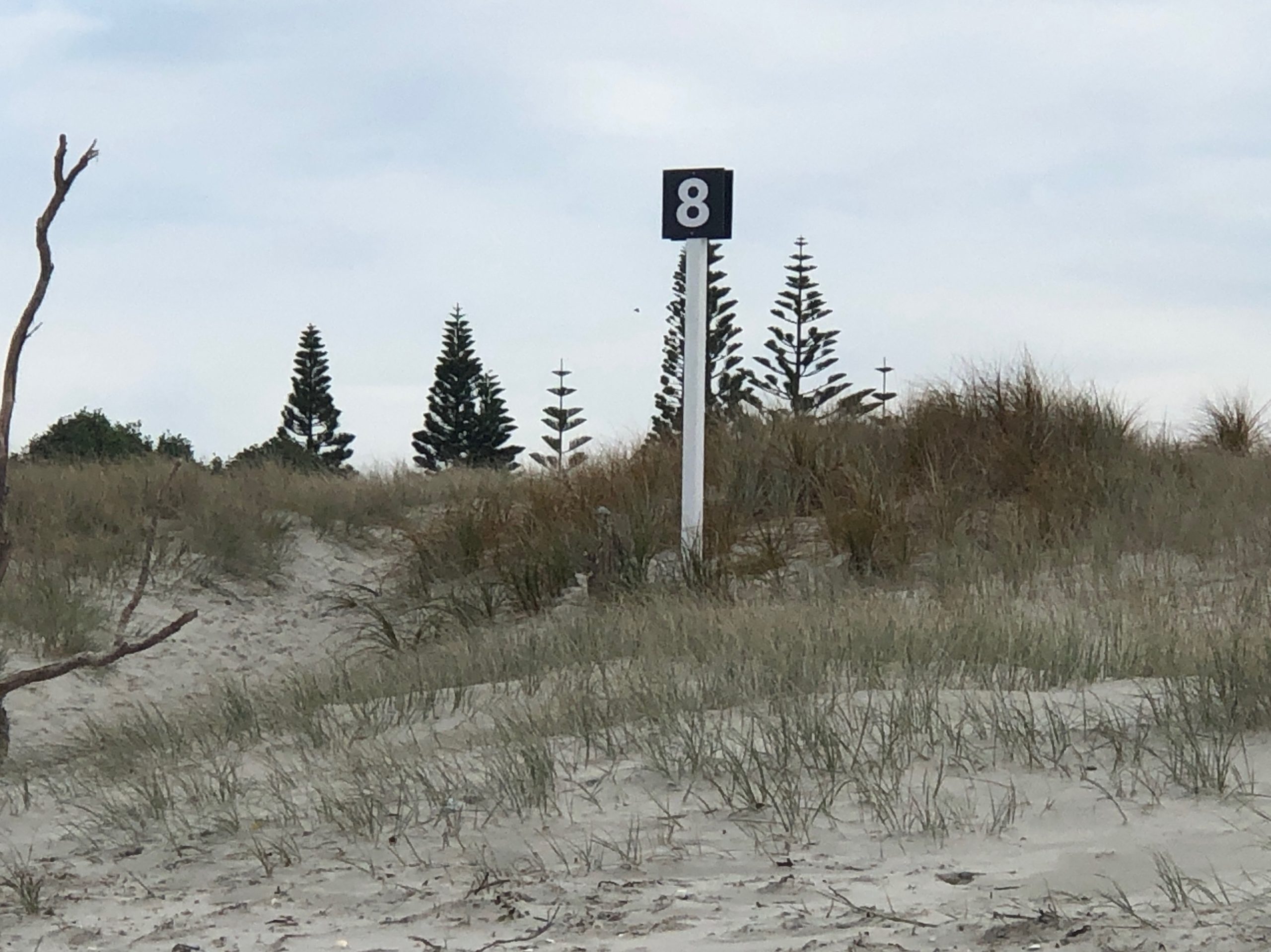 Council’s New Beach Signs – Omaha Beach