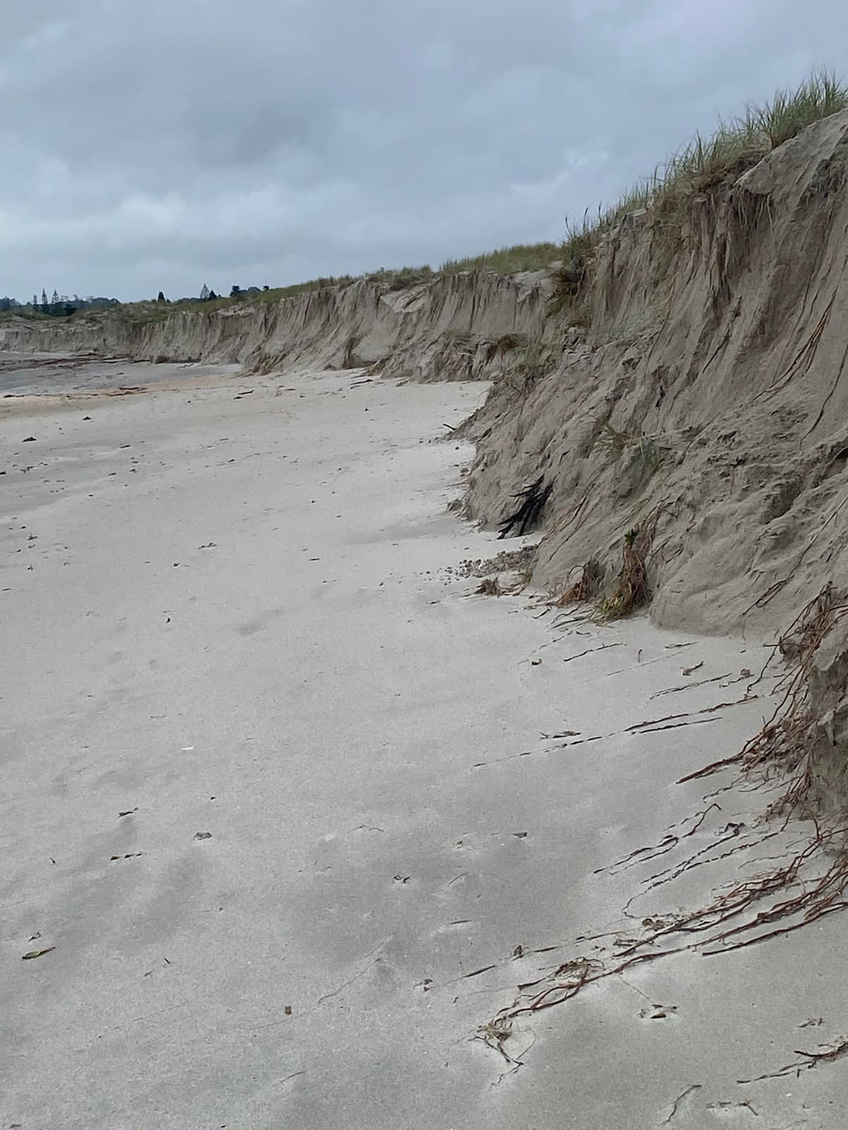 Please take care on the dunes – Omaha Beach